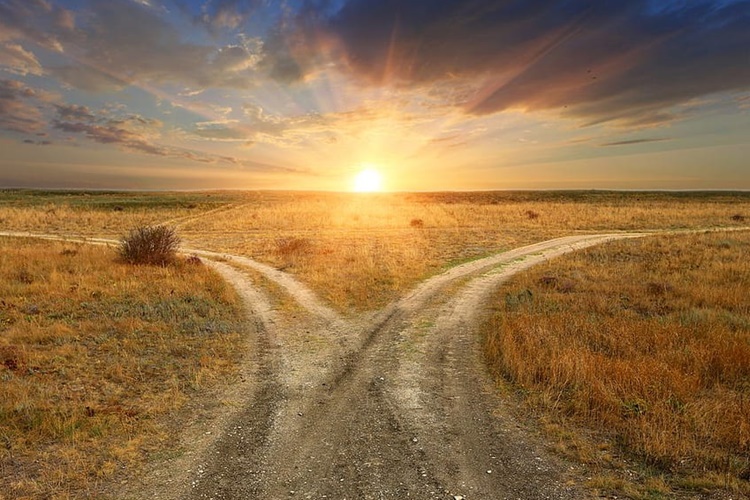 Kahve Falında İki Yol Arasında Kalp Görmek Ne Anlama Gelir? - Güncel Oku