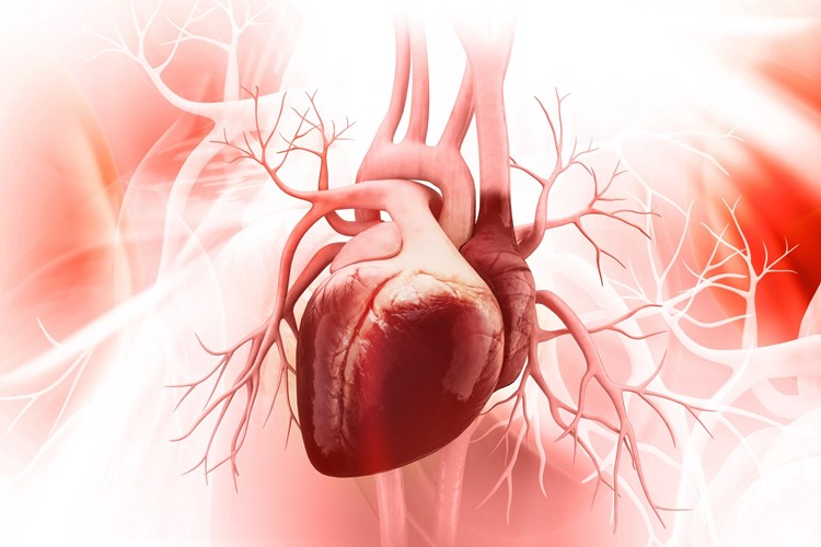 Kalbe Stent Takılması Kaç Saat Sürer? - Güncel Oku