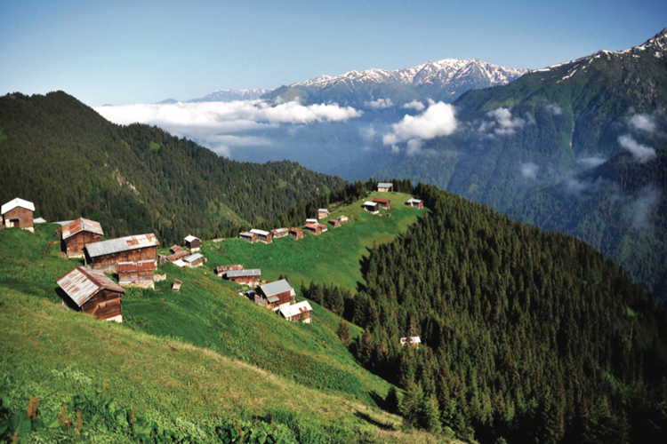Karadeniz Bölgesi Hakkında Merak Edilen Bilgiler - Güncel Oku