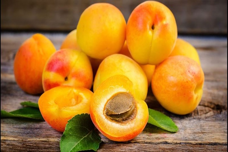 Kayısı Çayı 1 Haftada Kaç Kilo Verdirir? - Güncel Oku