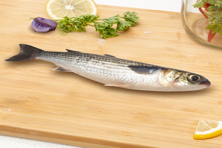 Kefal Balığı Nasıl Marine Edilir? - Güncel Oku