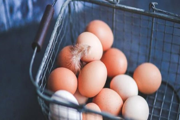 Keklik Yumurtası Pişirilir Mi? - Güncel Oku