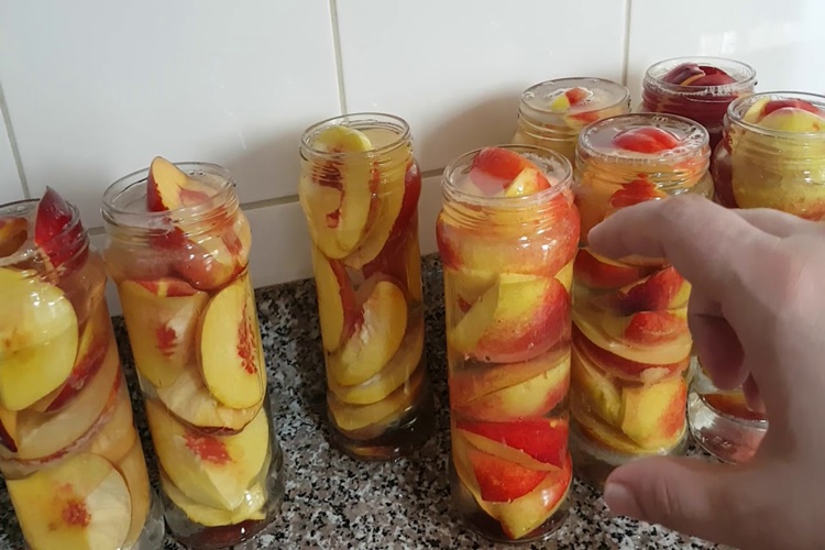 Komposto Hangi Meyvelerden Yapılır? - Güncel Oku