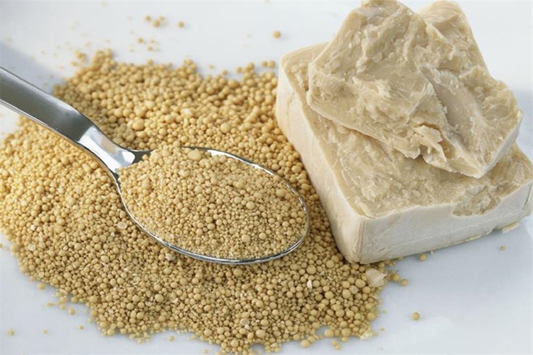 Kuru Maya Maskesi Kaç Dakika Bekletilir? - Güncel Oku