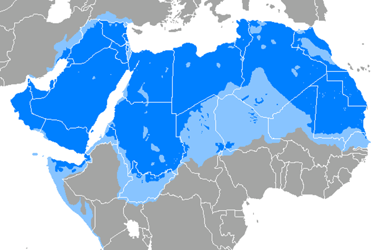 Lehçe Kaça Ayrılır? - Güncel Oku