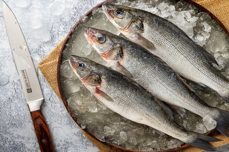 Levrek Balığı Neden Acı Olur? - Güncel Oku