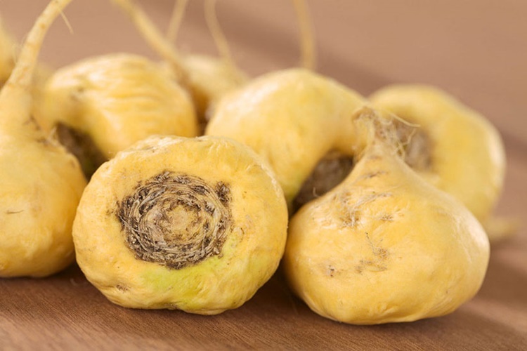 Maca Turpu Nasıl Kullanılır? - Güncel Oku