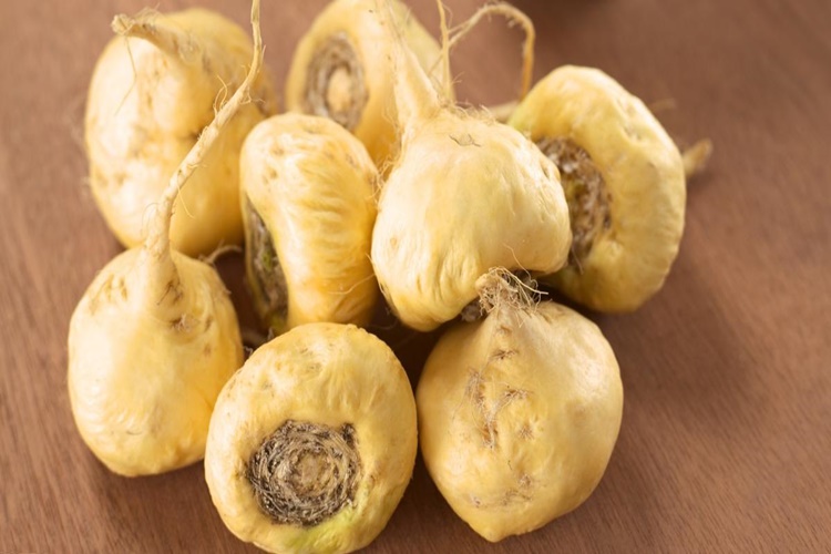 Maca Turpu Nerede Satılır? - Güncel Oku