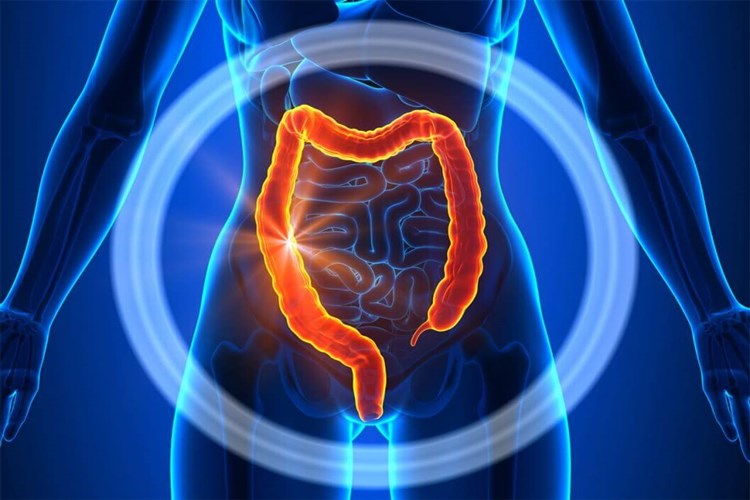 Makat Çatlağı Memesi Nasıl Geçer? - Güncel Oku