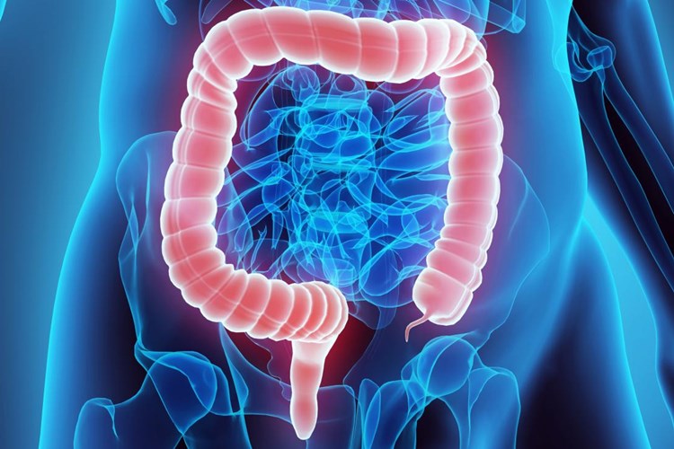 Makatta Şişlik Geçer Mi? - Güncel Oku