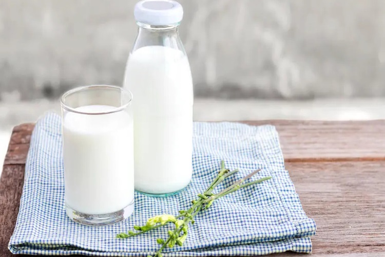 Manda Sütü İçilir Mi? - Güncel Oku