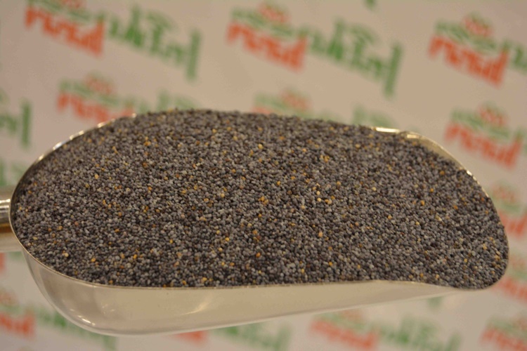 Mavi Haşhaş Faydaları Nelerdir? - Güncel Oku