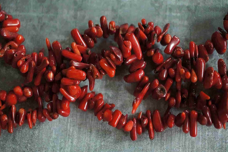 Mercan Taşı Ne İşe Yarar? - Güncel Oku