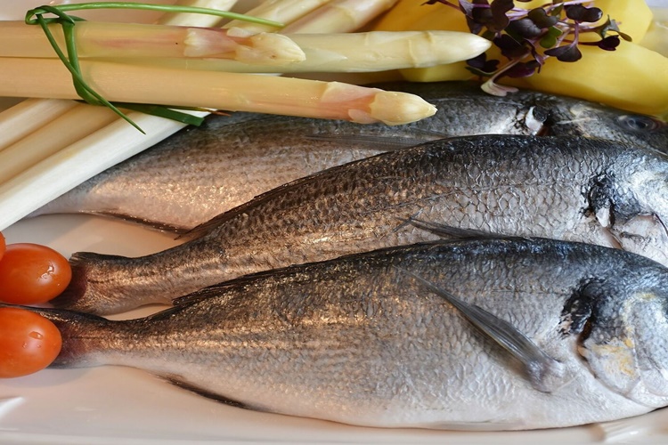 Mezgit Avı Nasıl Yapılır? - Güncel Oku