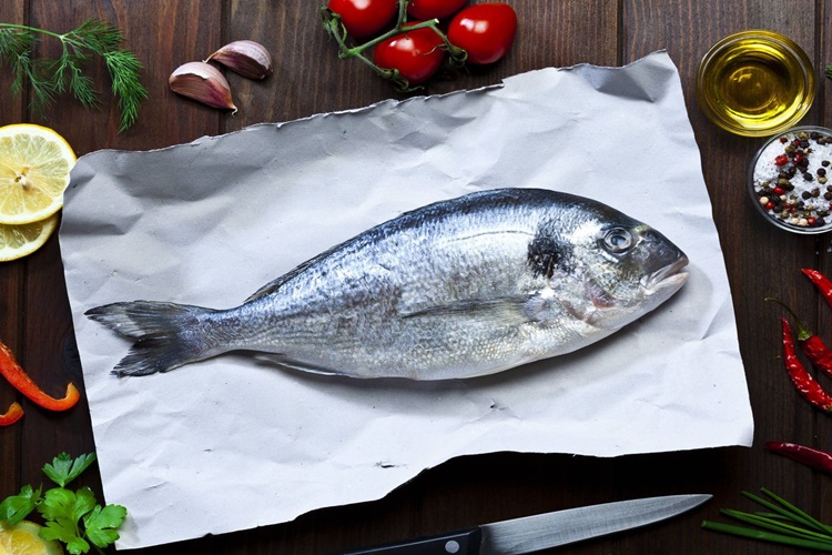 Mezgit Dip Balığı Mı? - Güncel Oku