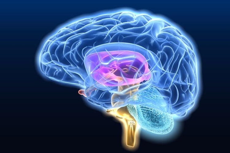 Migreni Tetikleyen Şeyler Nelerdir? - Güncel Oku