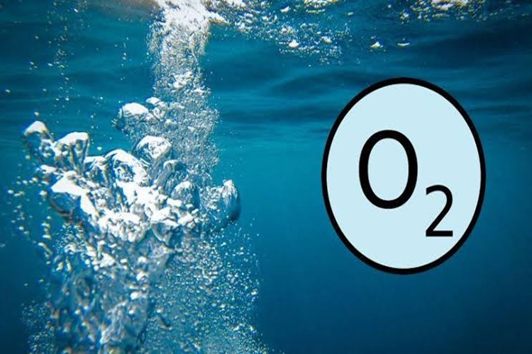 Oksijen Elementi Nerelerde Kullanılır? - Güncel Oku