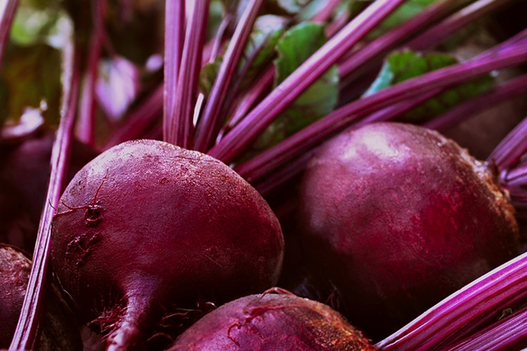 Pancar Haşlanır Mı? - Güncel Oku