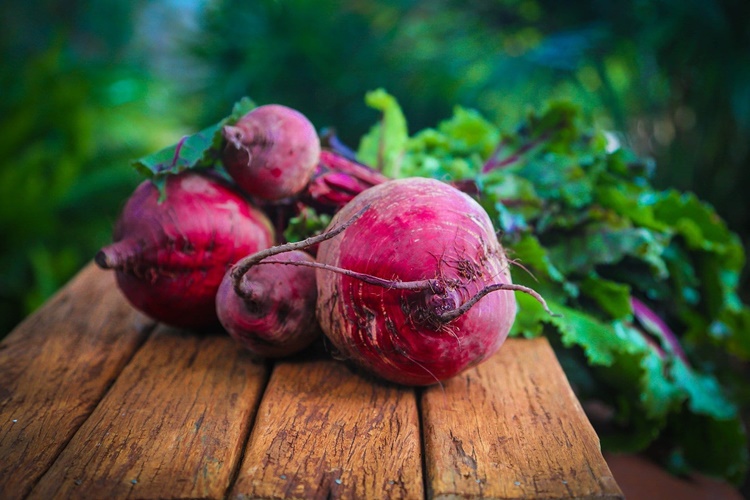 Pancar Karaciğeri Temizler Mi? - Güncel Oku