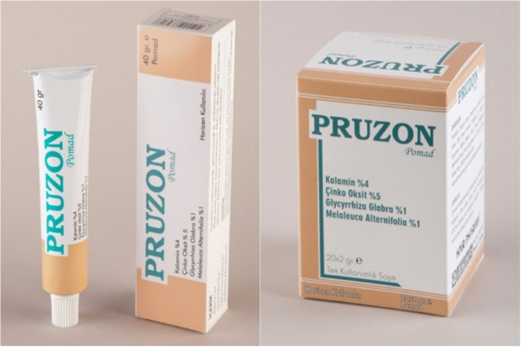 Pruzon Krem Devlet Karşılıyor Mu? - Güncel Oku