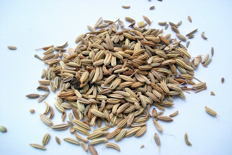 Rezene Çayı Nasıl Yapılır? - Güncel Oku