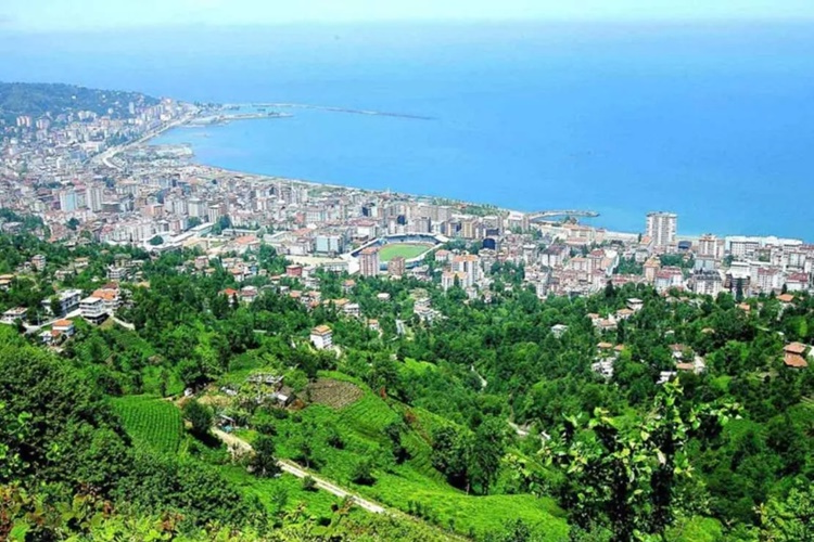 Rize Çayeli 2023 Nüfusu Kaçtır? - Güncel Oku