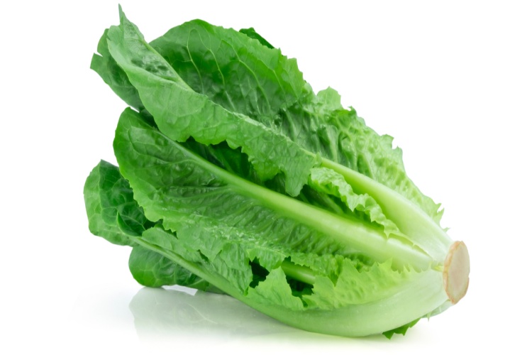 Rüyada Marul Görmek Ne Anlama Gelir? - Güncel Oku