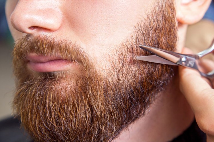 Sakal Hakkında Bilinmesi Gerekenler - Güncel Oku