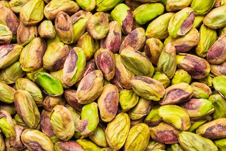 Şam Fıstığı Nasıl Toplanır? - Güncel Oku