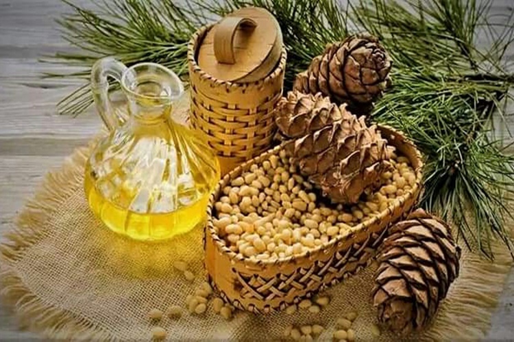 Sedir Ağacı Yağı İle Saç Uzatma - Güncel Oku