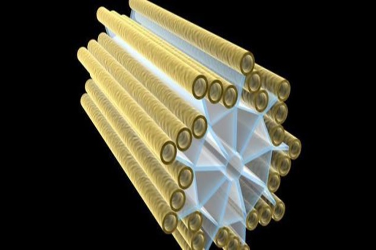 Sentriyol Ve Sentrozom Arasındaki Fark Nedir? - Güncel Oku