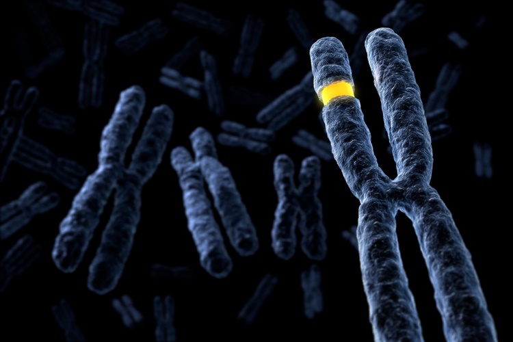 Sentrozom Babadan Mı Gelir? - Güncel Oku