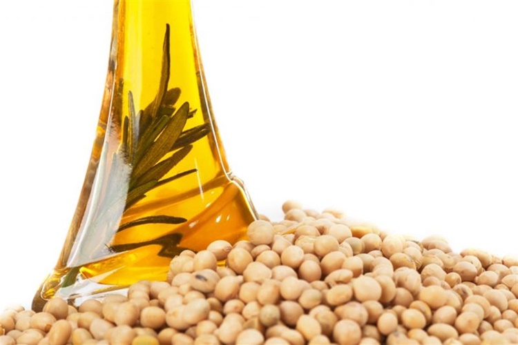 Soya Yağı Alerjisi Nedir? - Güncel Oku