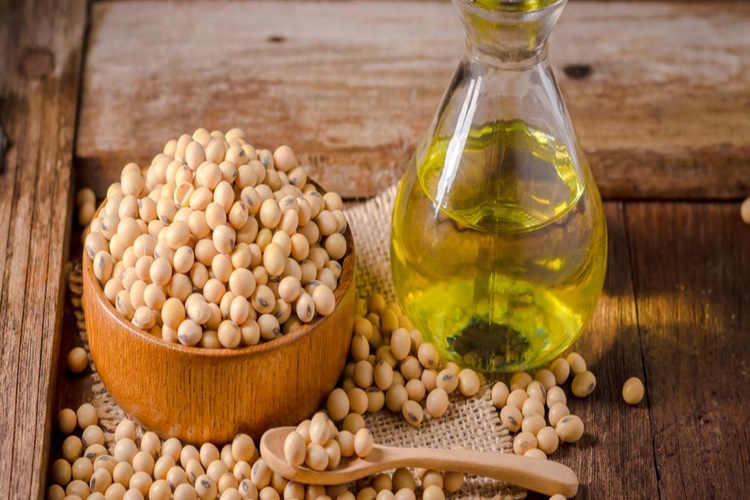 Soya Yağı Faydaları Nelerdir? - Güncel Oku