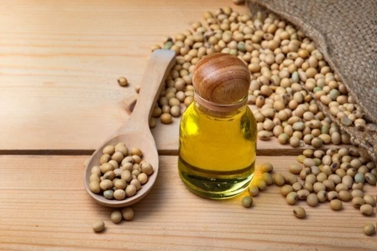 Soya Yağı Hangi Yemeklerde Kullanılır? - Güncel Oku