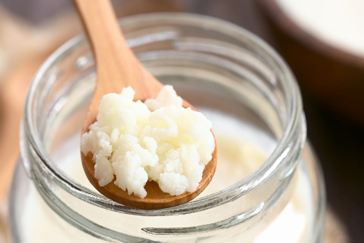 Su Kefiri Nedir? - Güncel Oku