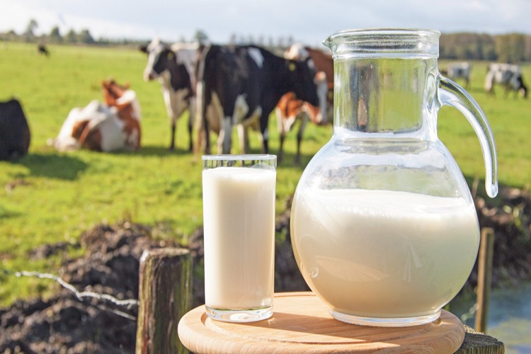 Süt Dolapta Kaç Gün Bekler? - Güncel Oku