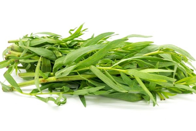 Tarhun Nerelerde Kullanılır? - Güncel Oku