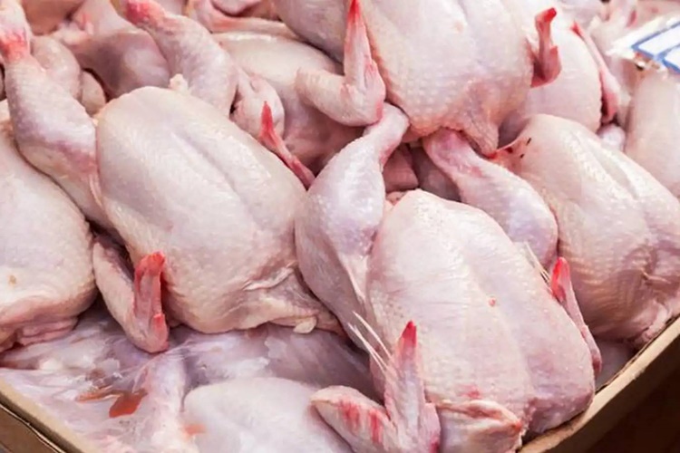 Tavuk Eti Neden Sert Olur? - Güncel Oku