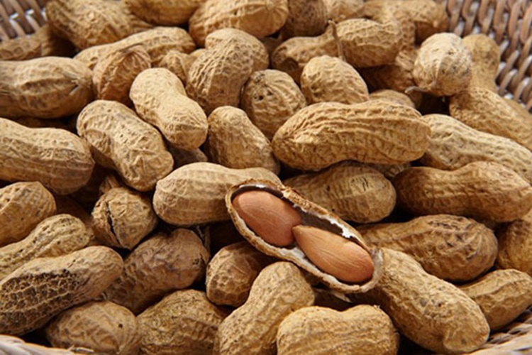 Taze Fıstık Derin Dondurucuda Nasıl Saklanır? - Güncel Oku