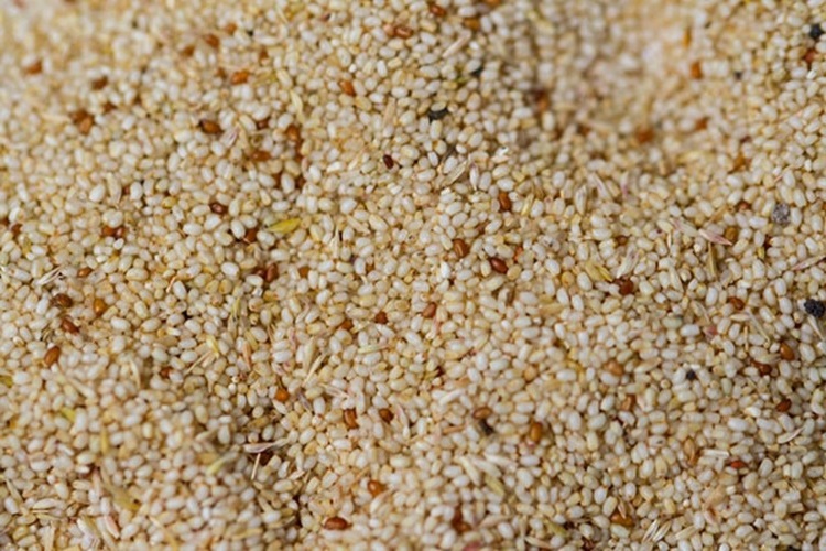 Teff Nasıl Tüketilir? - Güncel Oku