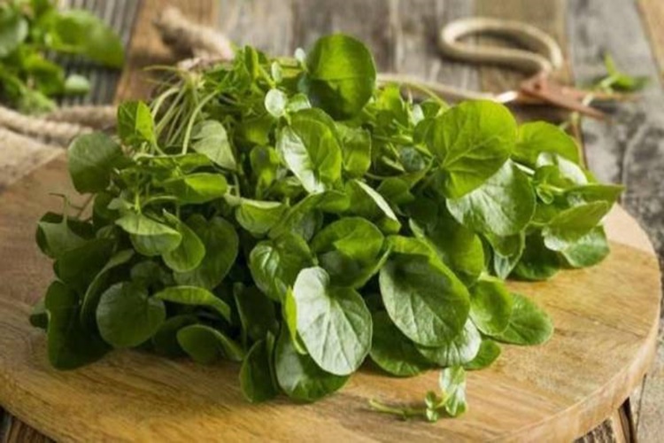 Tere Nasıl Tüketilir? - Güncel Oku