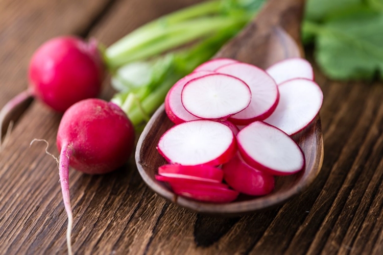 Turp Nasıl Toplanır? - Güncel Oku