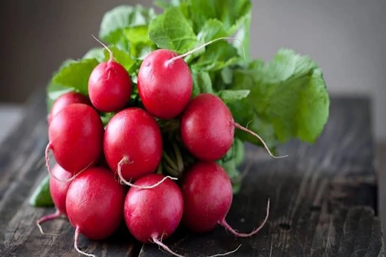 Turp Neden Acı Olur? - Güncel Oku