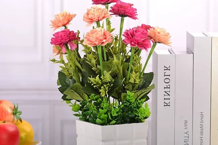 Vazo Çiçeği Bakımı Nasıl Yapılır? - Güncel Oku