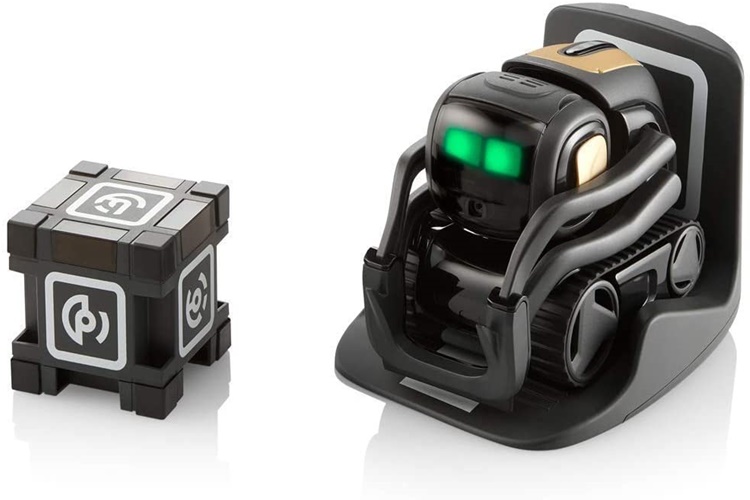 Vector Robot Nasıl Türkçe Yapılır? - Güncel Oku