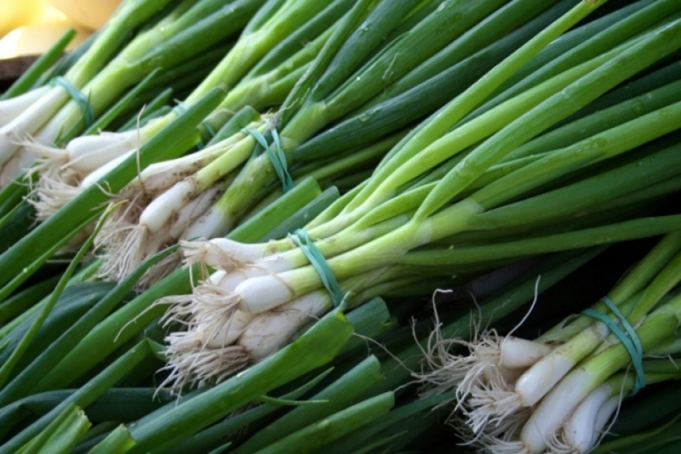 Yeşil Soğan Nasıl Toplanır? - Güncel Oku