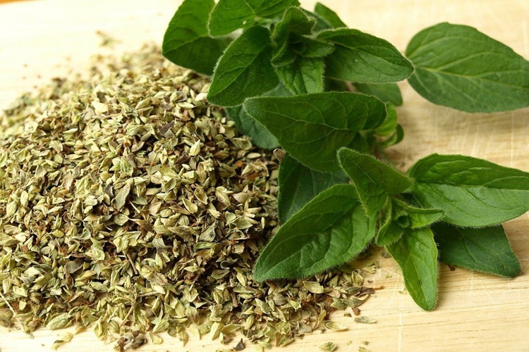 Zahter Nedir? - Güncel Oku