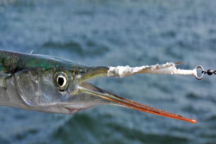 Zargana Nasıl Tutulur? - Güncel Oku