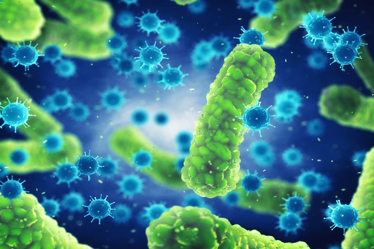 Zolax Etkisi Ne Zaman Geçer? - Güncel Oku